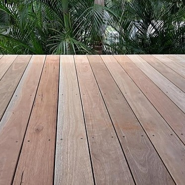 Pentarch Forestry™ | Twitter, Instagram, Facebook, TikTok | Linktree